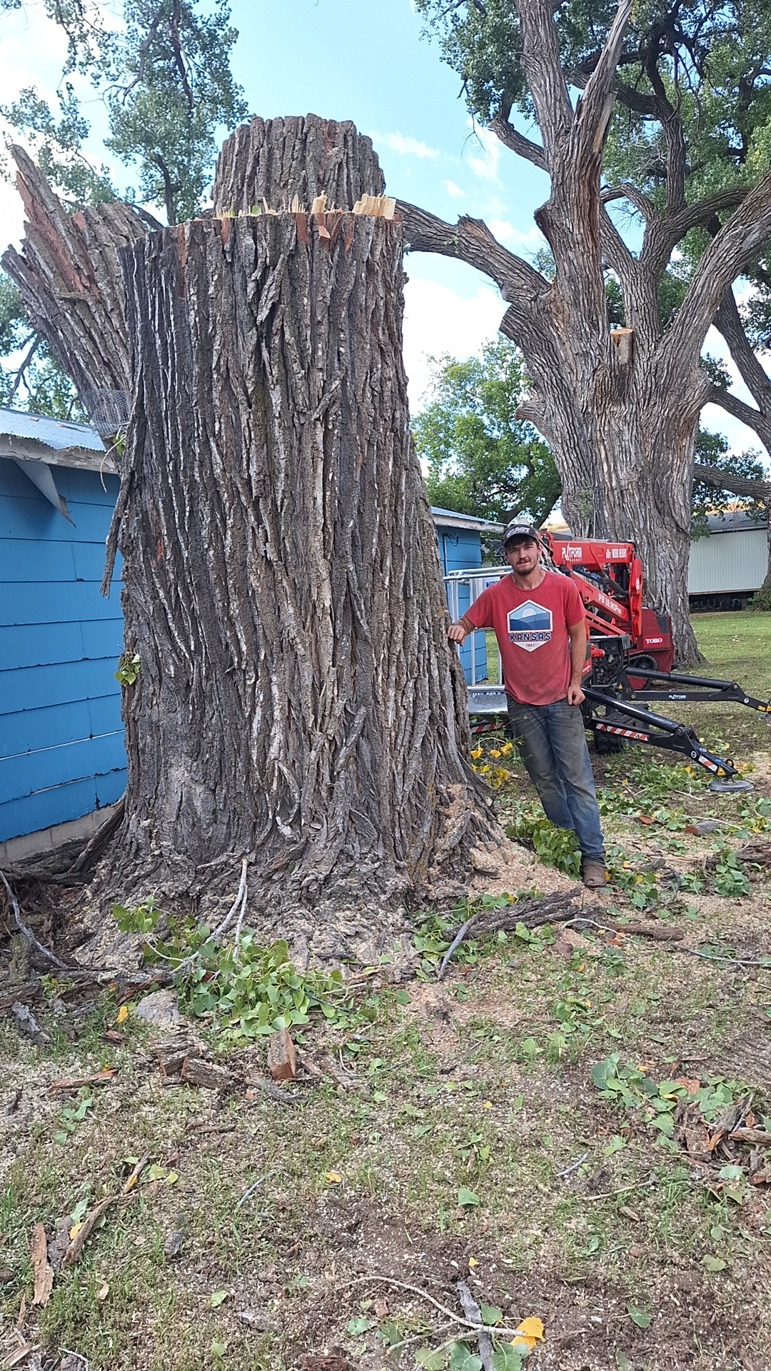 Tree Service Near Me - SMH Tree Service, Atwood KS