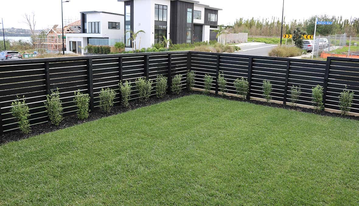 Landscaping | TD&A grading and landscaping