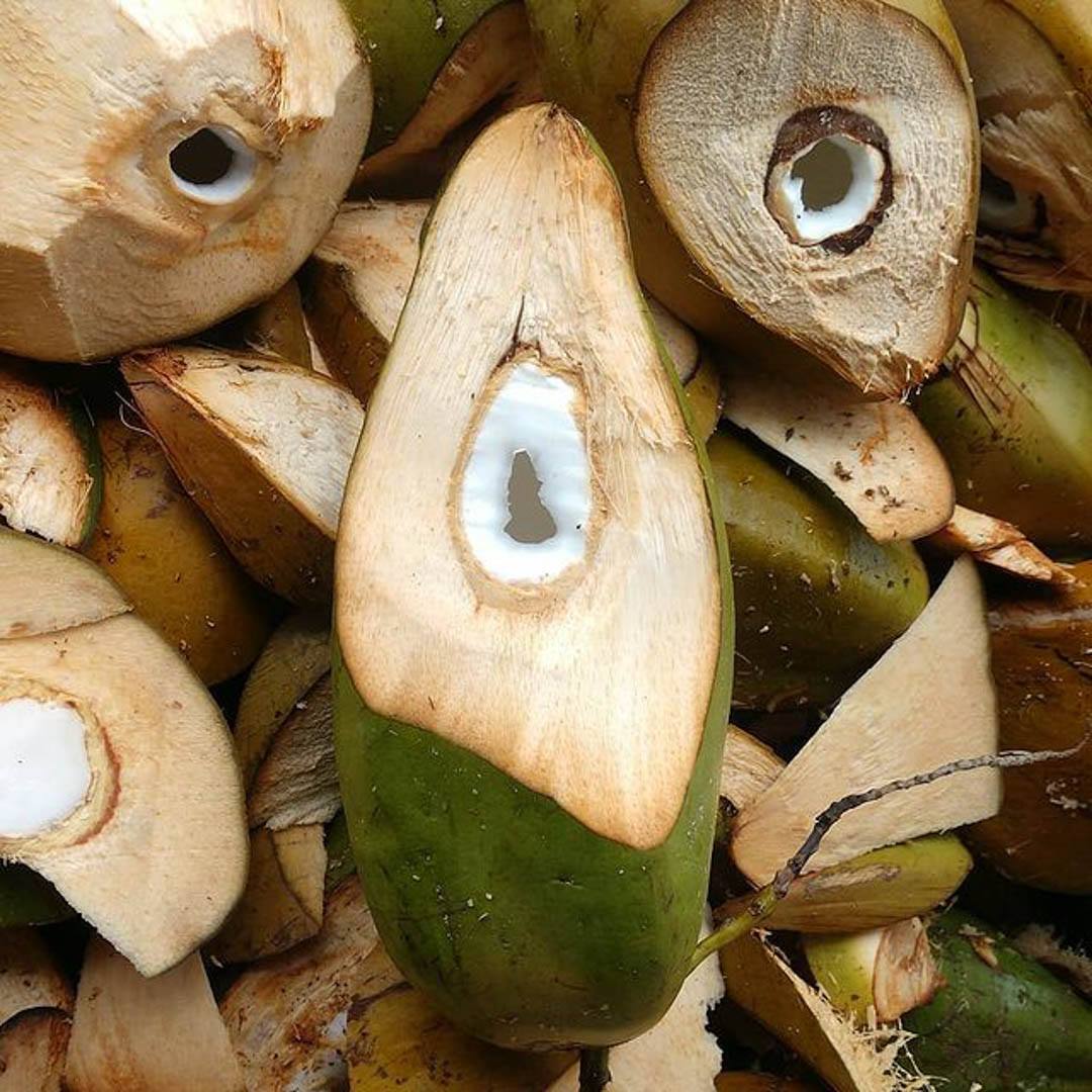 Big Island Coconut Company