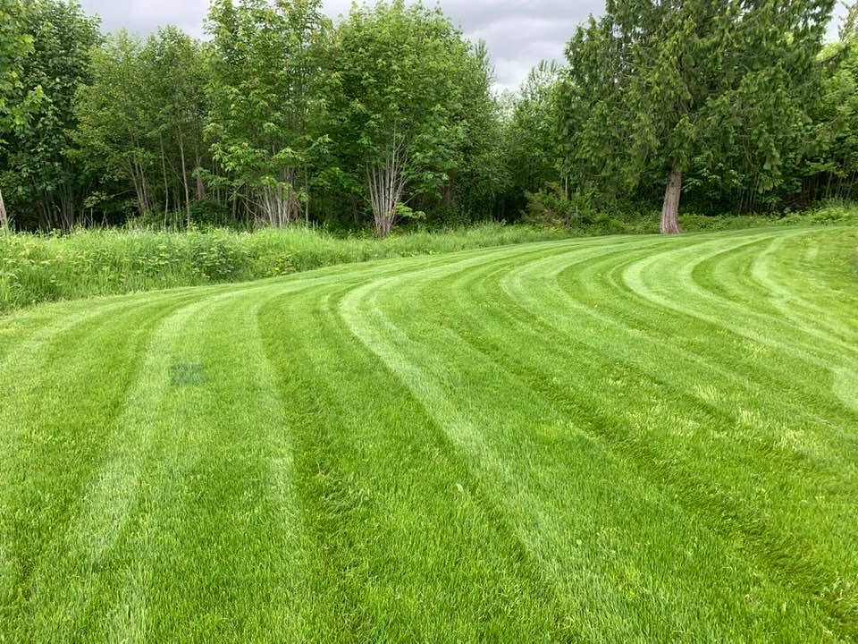 Getchell, Washington - The Best Landscaping | Avenscapes NW, LLC