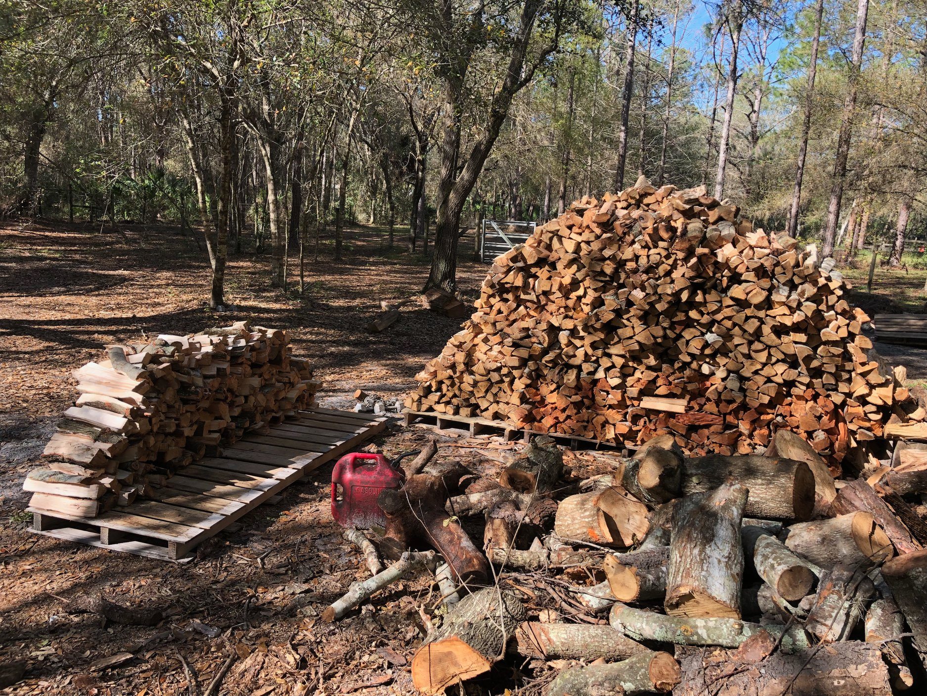 Tree Service in Bradenton, Florida | Adam's Tree and Stump Care