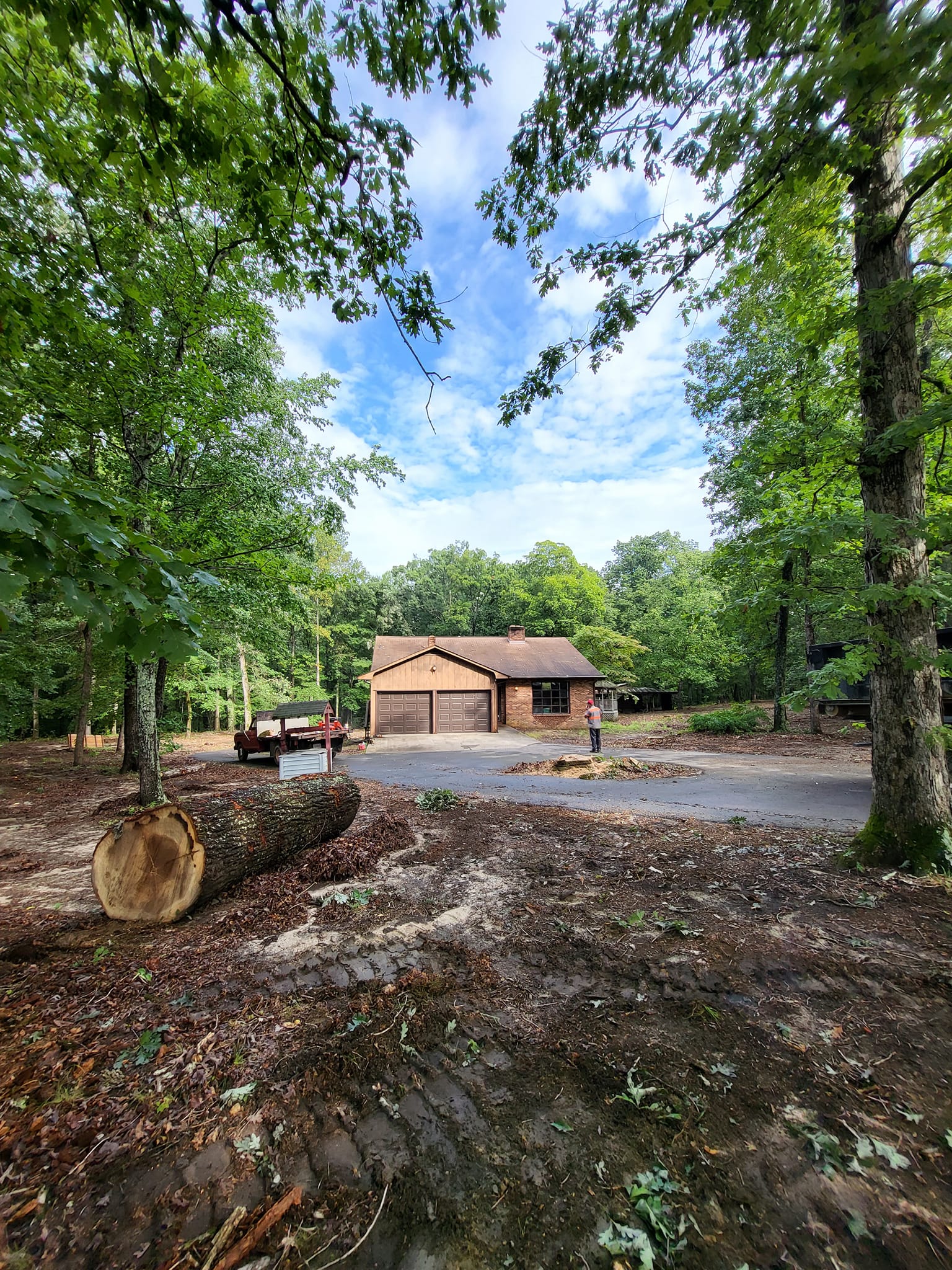 Tree Service in Danville, VA | Smitty's Tree Service