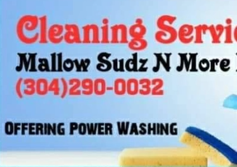 Residential & Commercial Cleaning and Pressure Washing in Morgantown ...